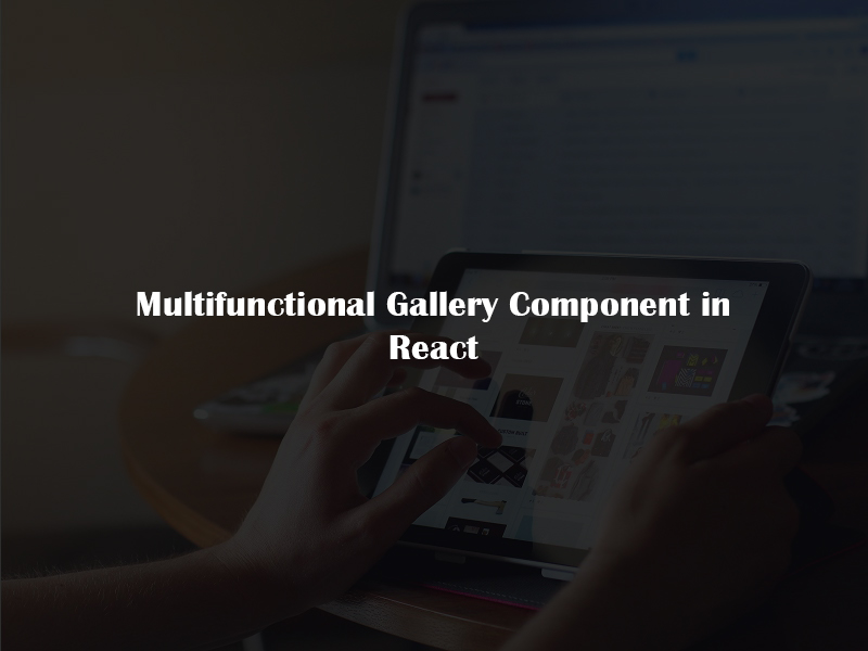Multifunctional Gallery Component in React - ⋮IWConnect