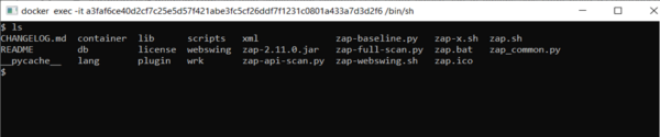 API Security Testing with OWASP ZAP